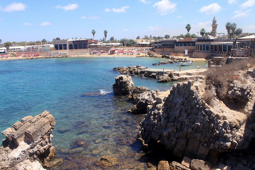 maslini9 - REVISTA BAABEL