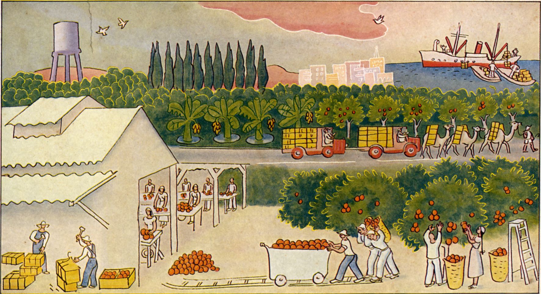 Asher-Gutman-Portul-Tel-Aviv - REVISTA BAABEL